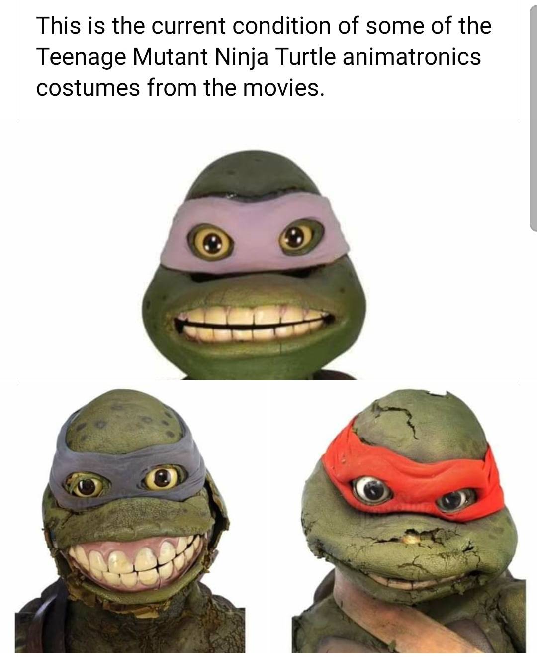 Burn them | Scrolller