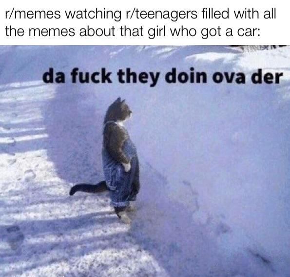 But seriously: Da fuk | Scrolller