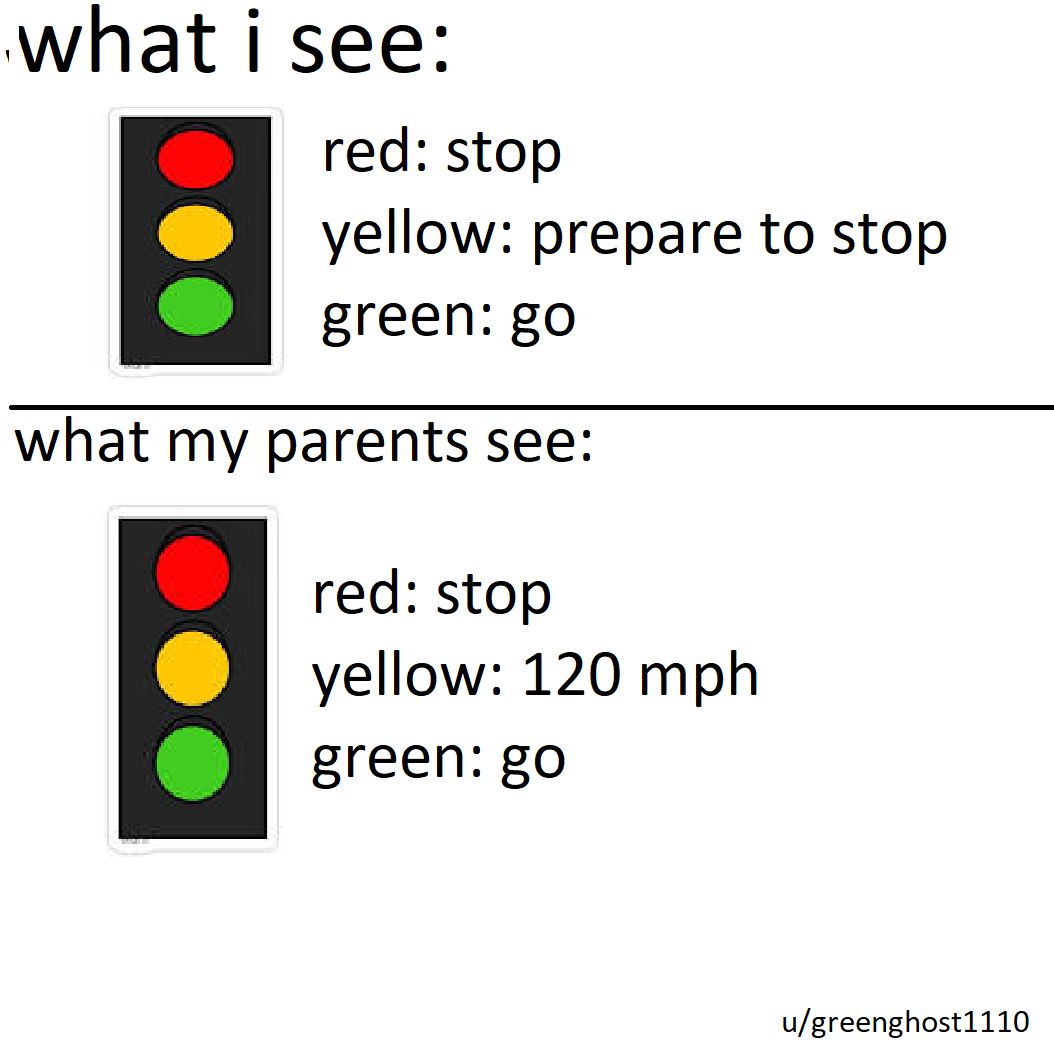 but the traffic light says slow | Scrolller