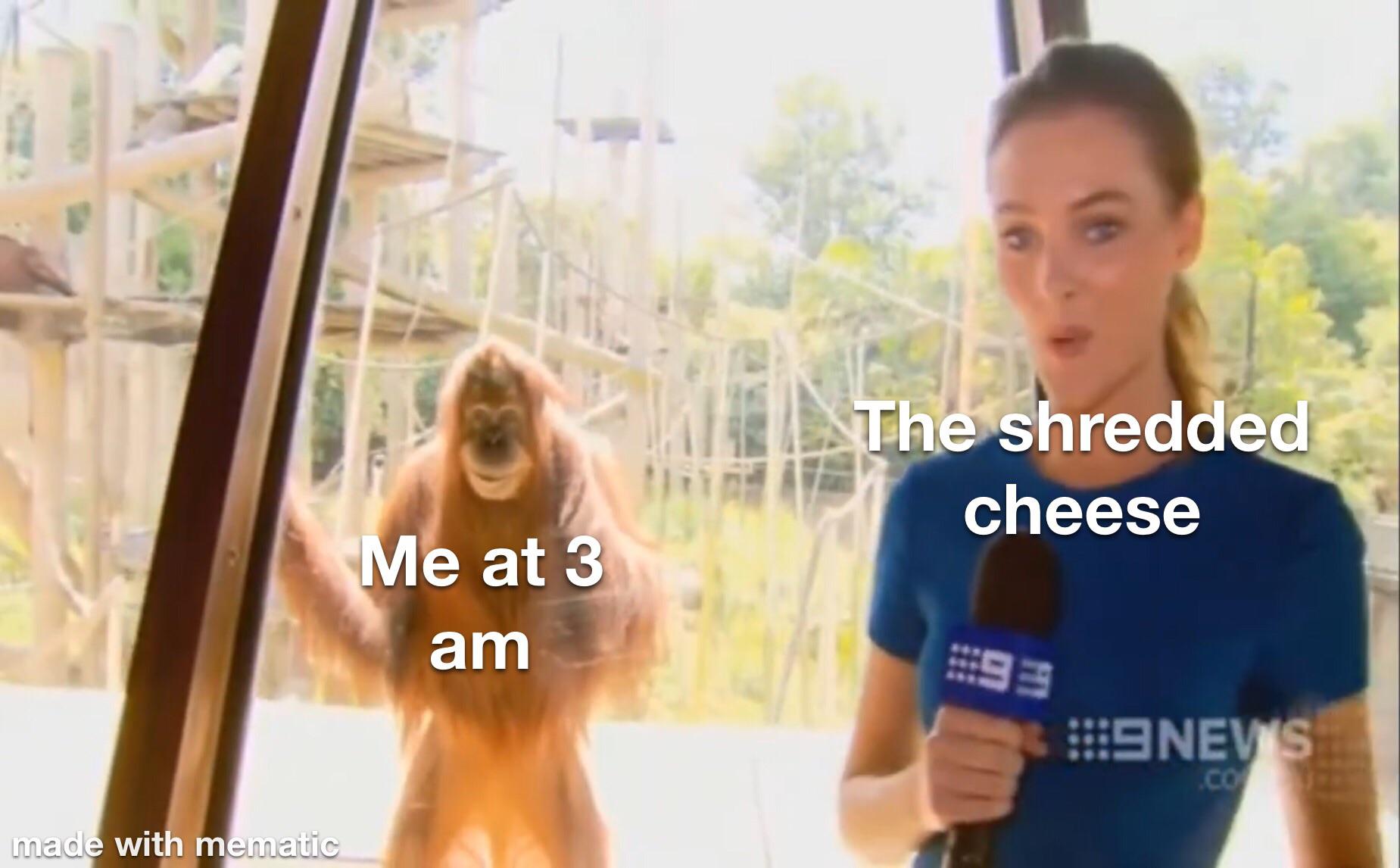 But this orangutan is looking for more than just cheese | Scrolller