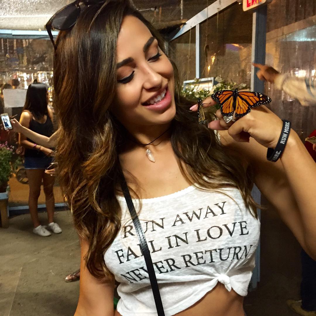 Butterfly | Scrolller