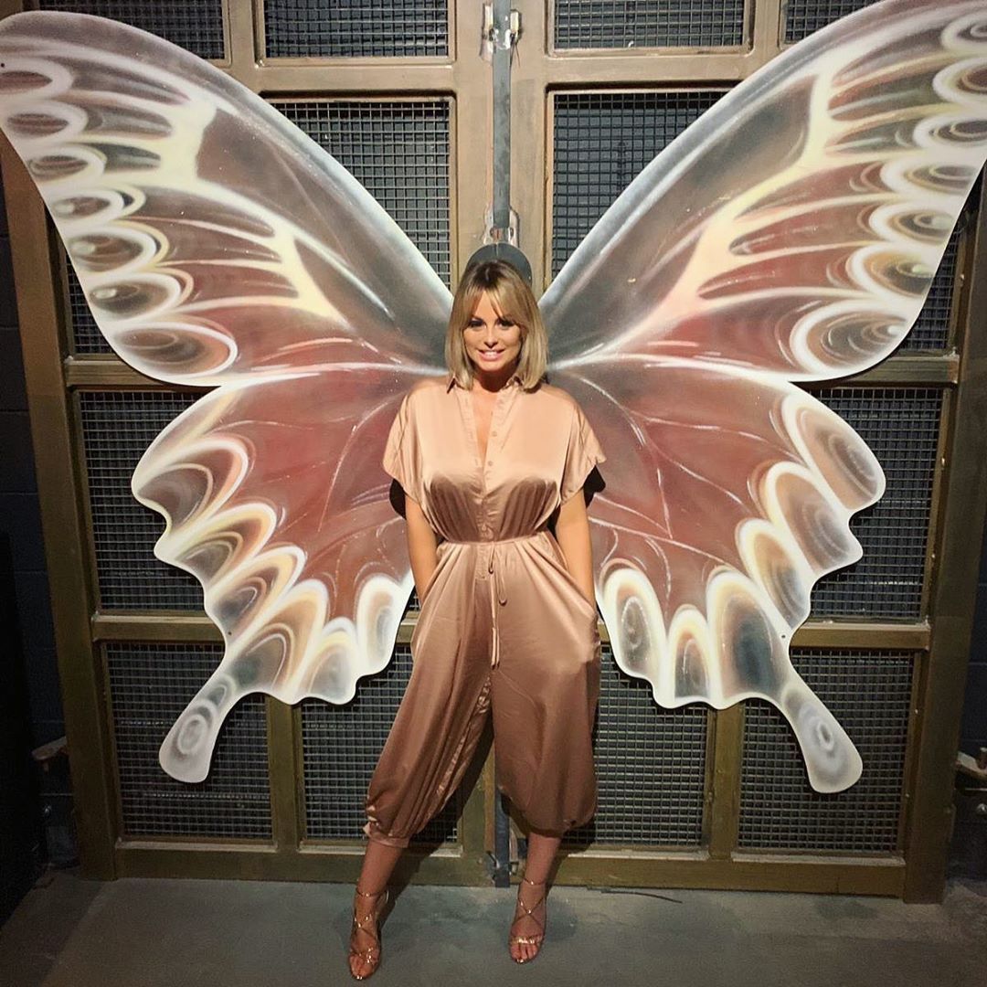 Butterfly | Scrolller