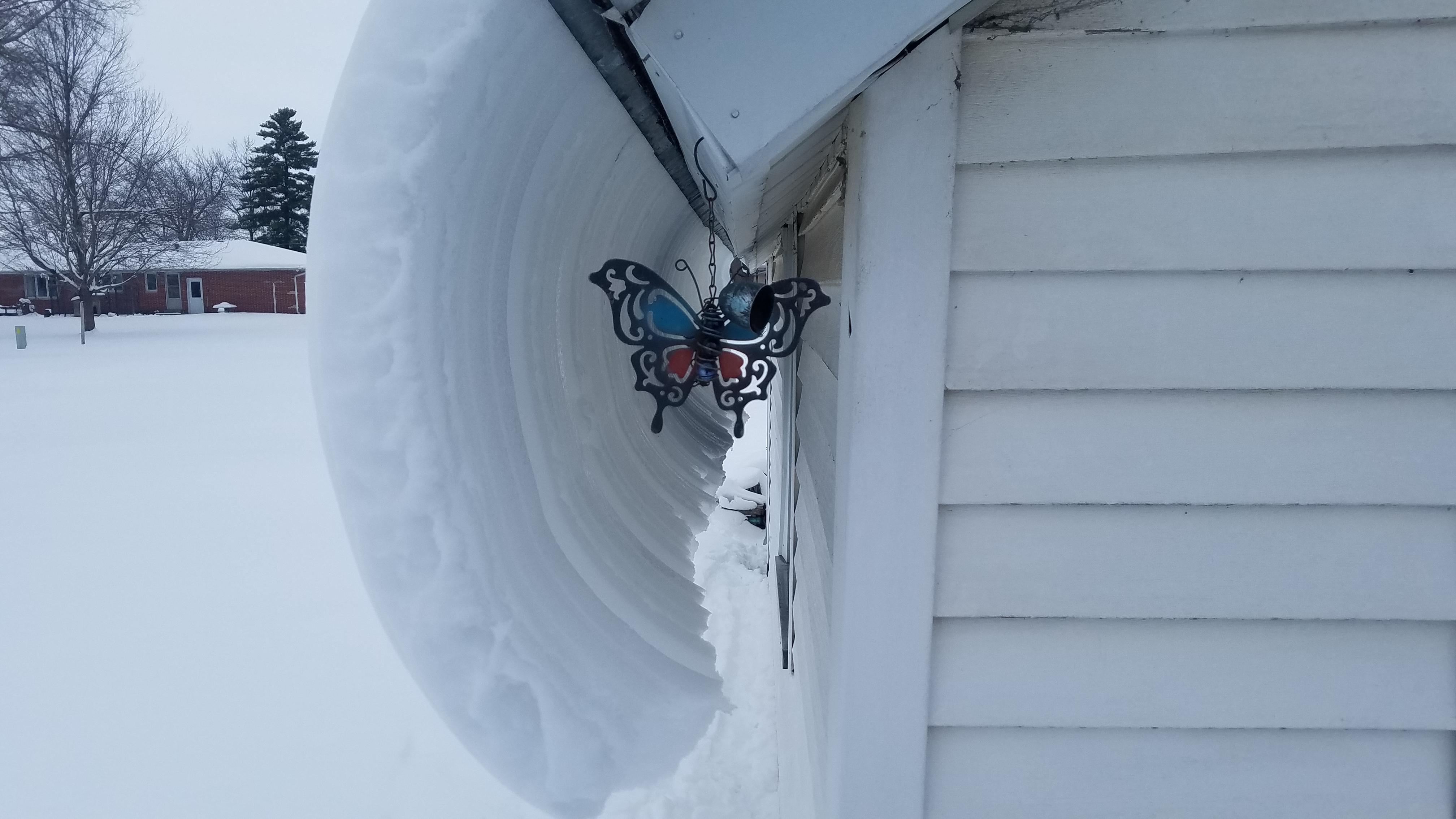 Butterfly in a Snow Wave | Scrolller