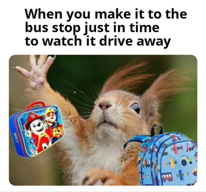 Bye everybody. | Scrolller