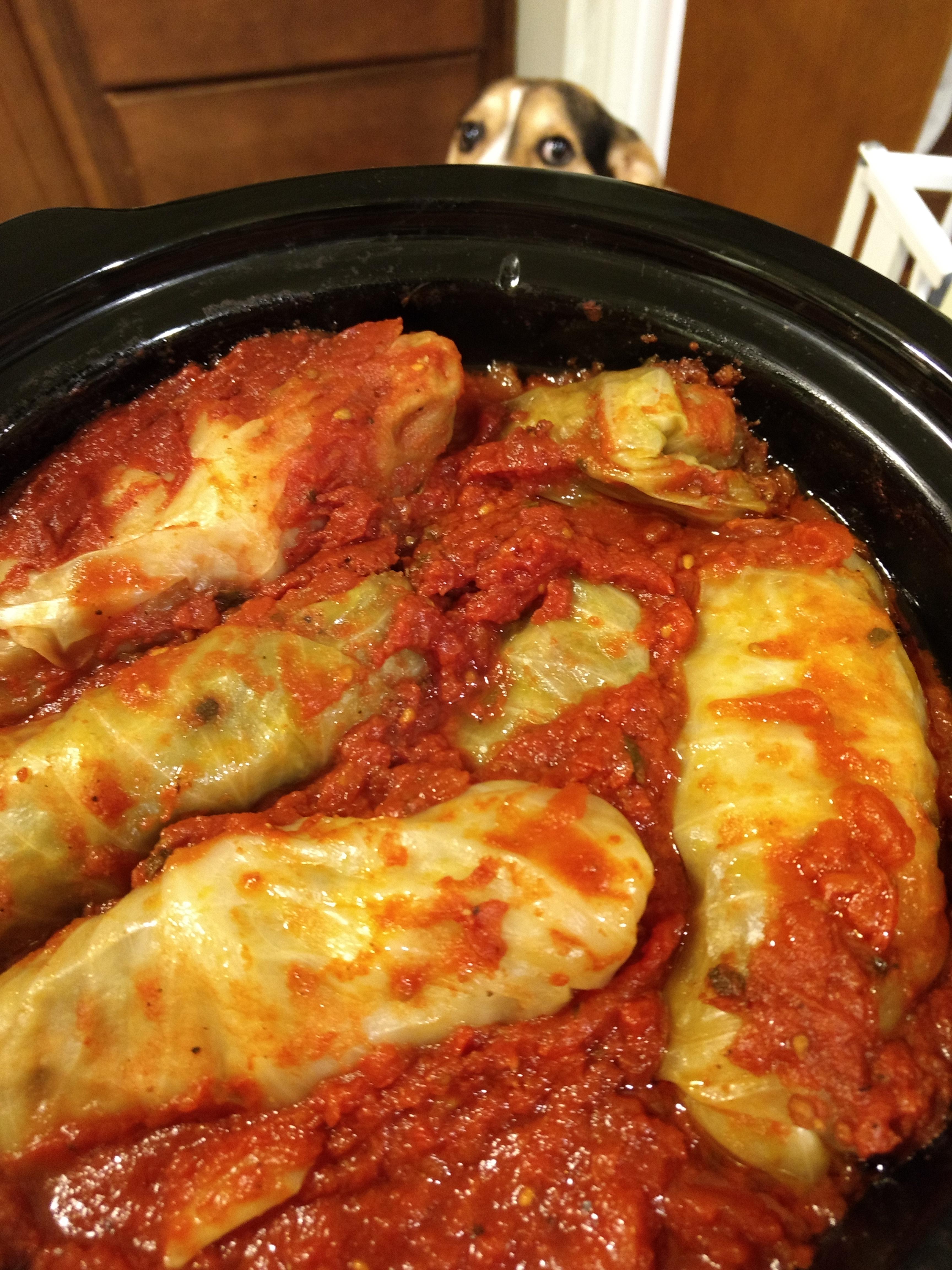 Cabbage rolls | Scrolller