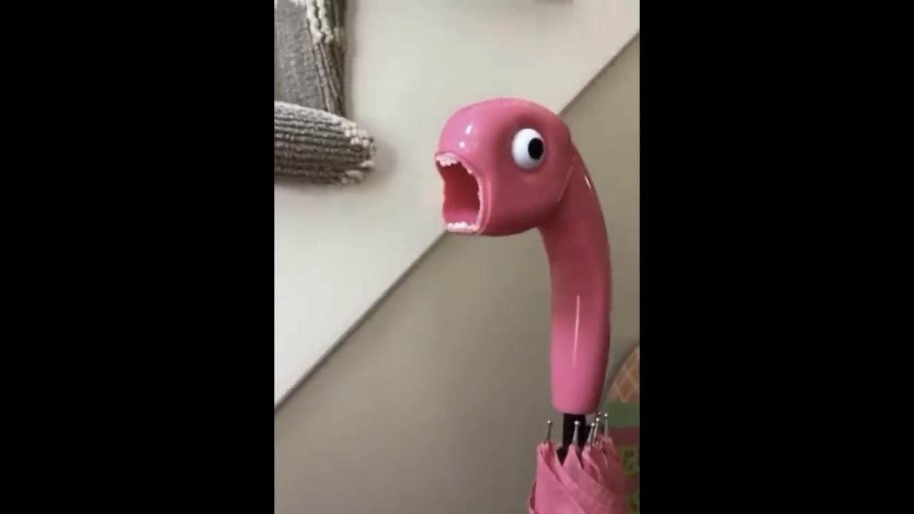 Cake day memes be like | Scrolller