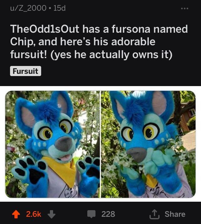 Called it | Scrolller