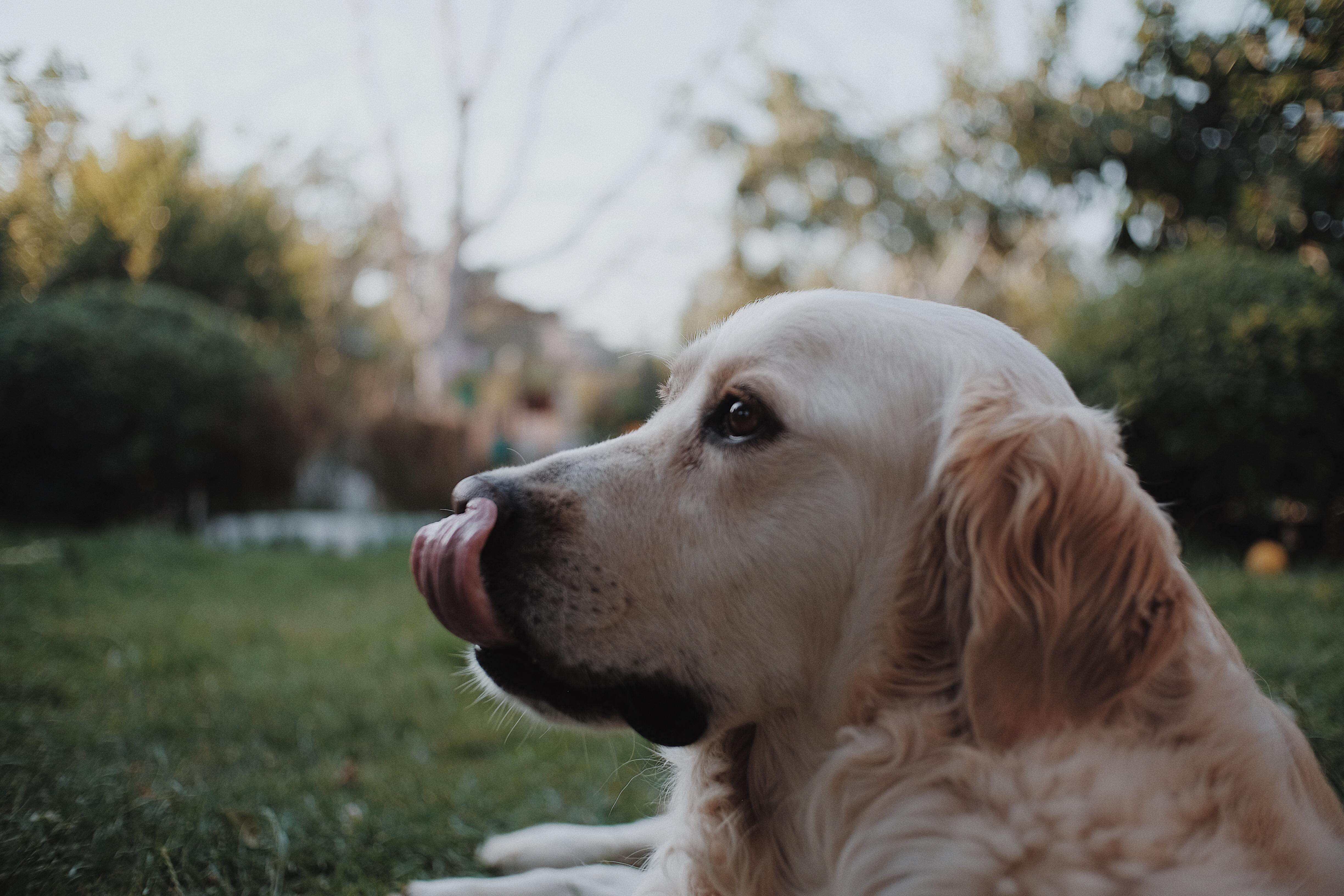 Calm | M5 | Scrolller