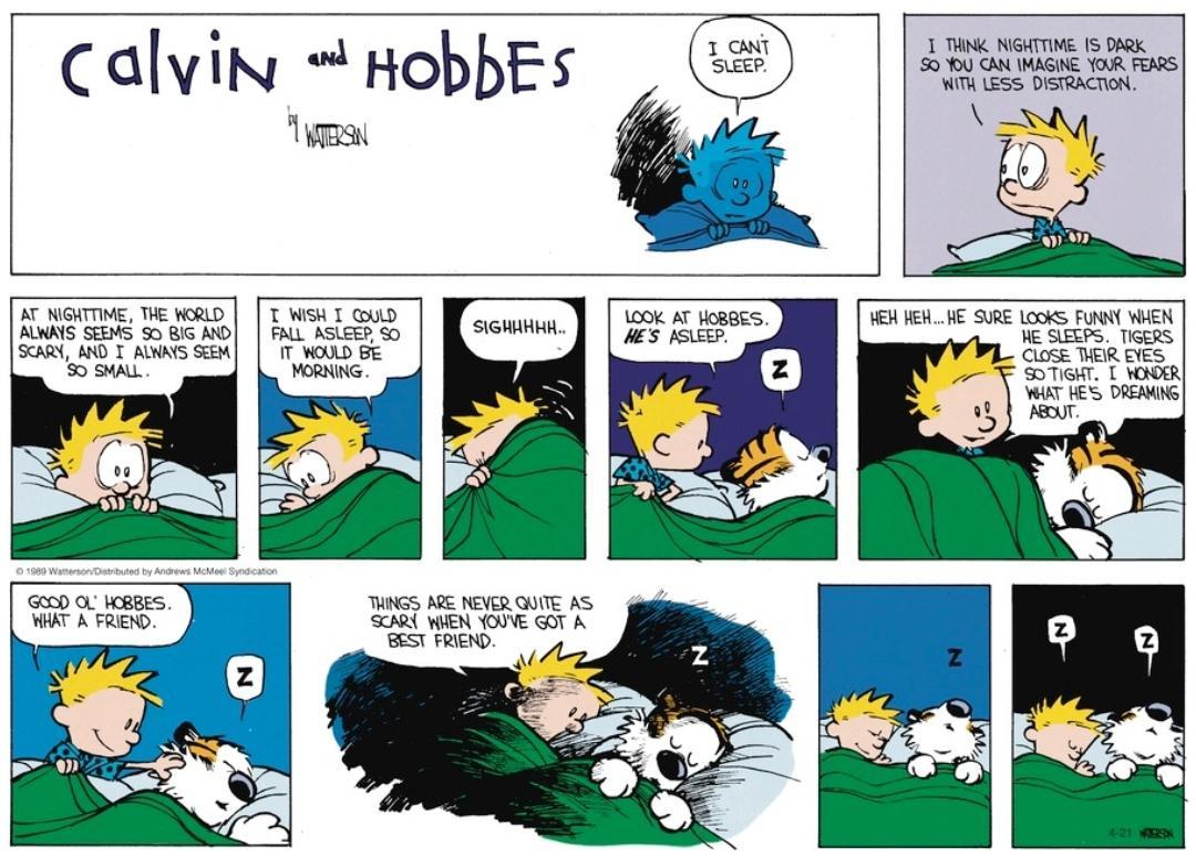 Calvin and Hobbes | Scrolller