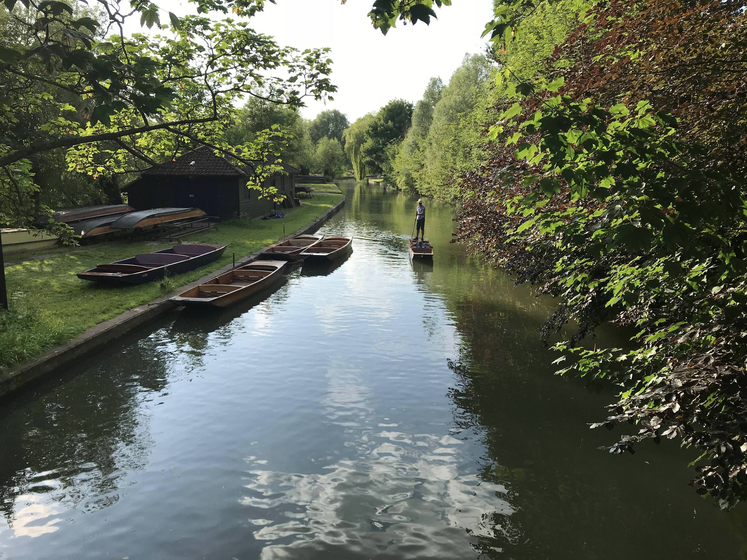 Cambridge this afternoon | Scrolller