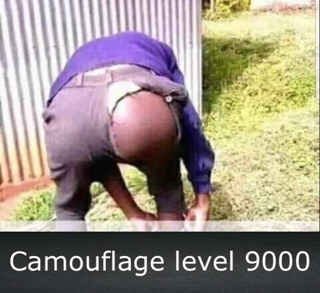 Camouflage level 9000 | Scrolller