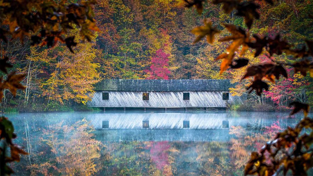 Camron Covered Bridge in Green Mountain Park, Alabama, USA. [1920x1080] | Scrolller