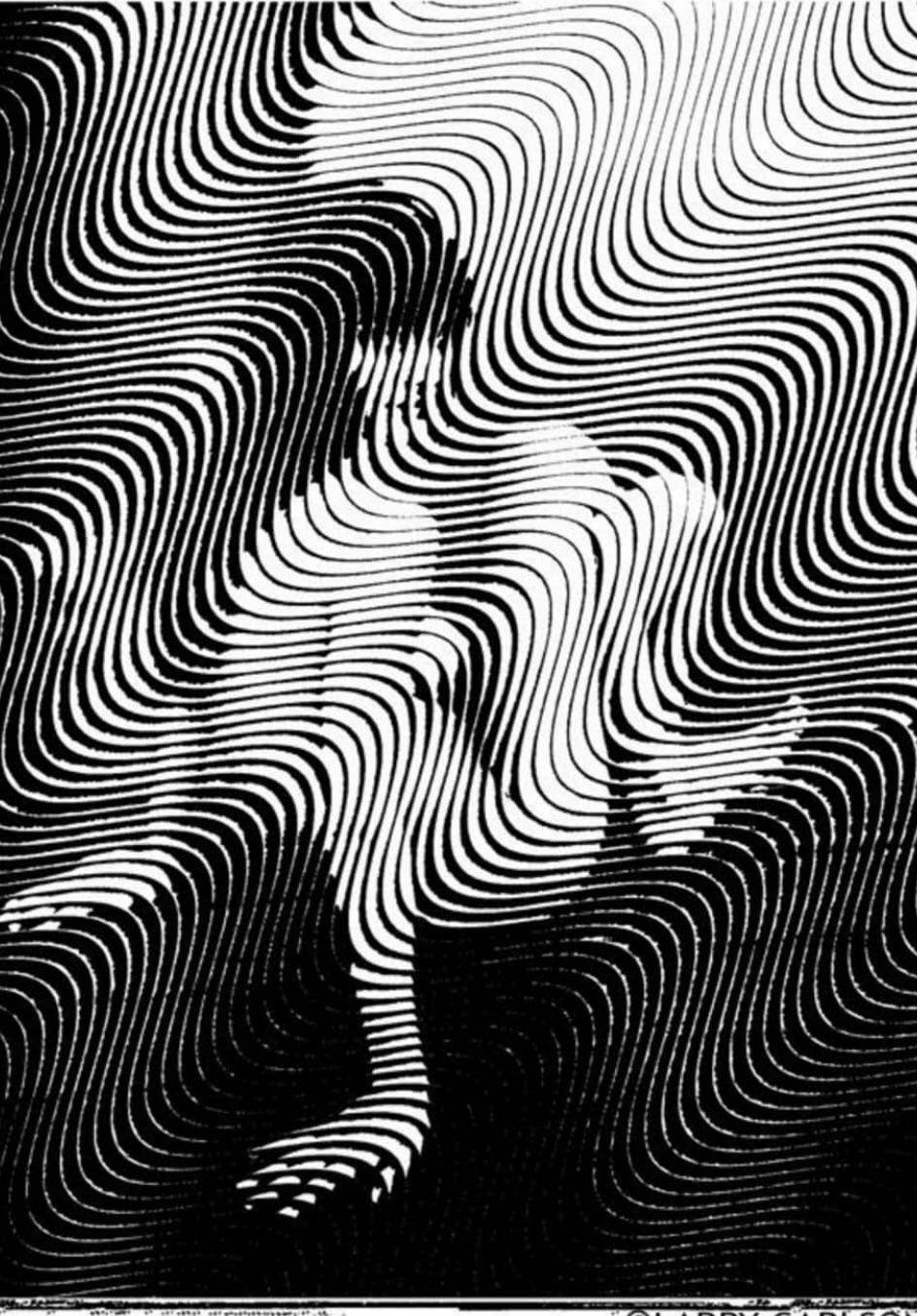 Can i use Processing to generate an image like this using a photo as source? If so, how to do it ...