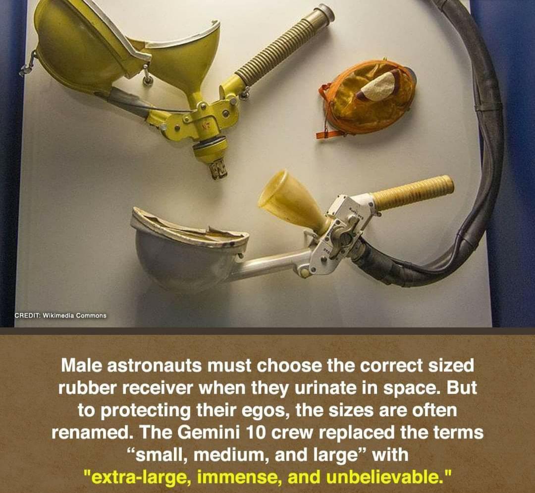 Can relate. | Scrolller