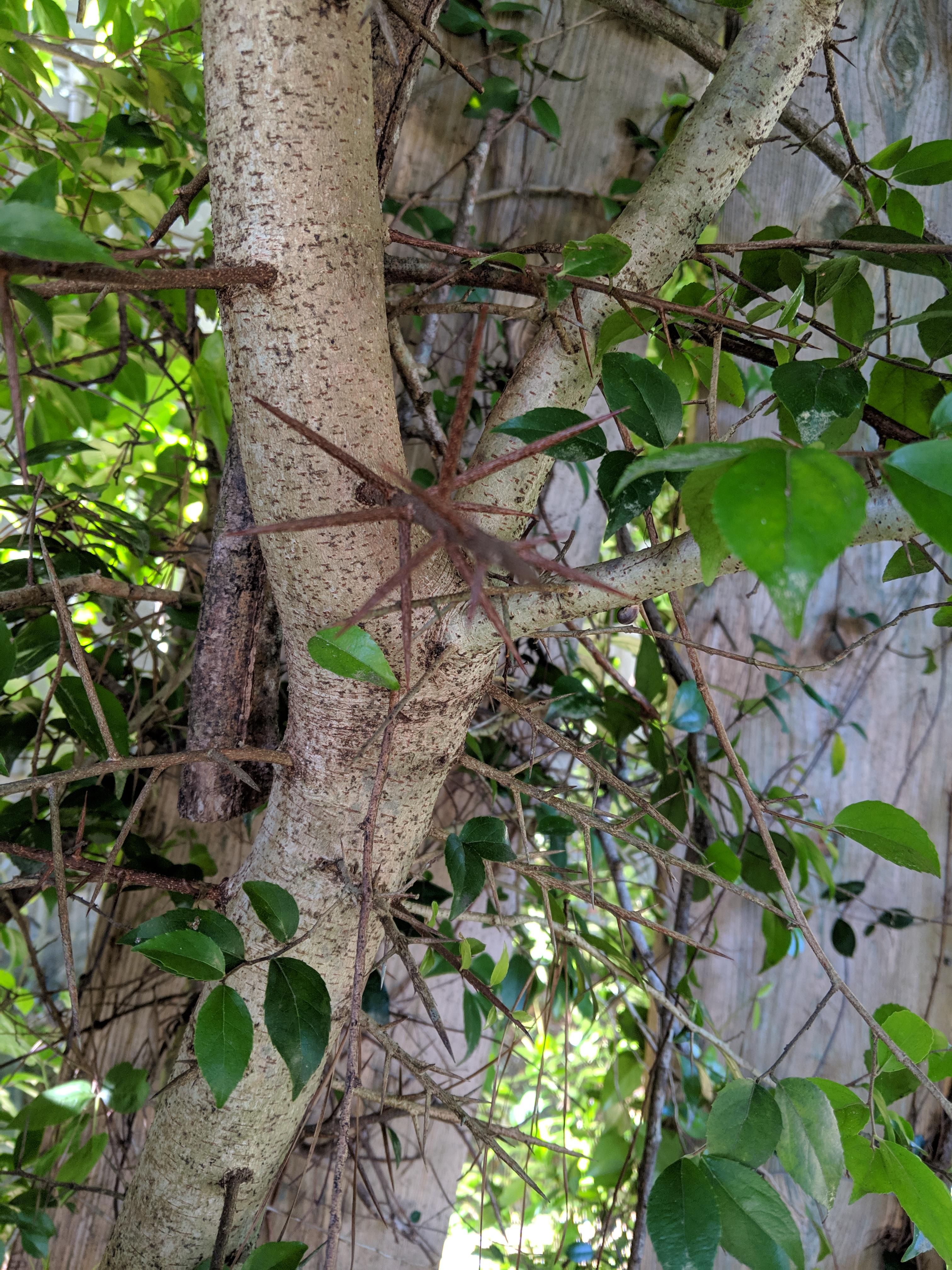 Can someone please help me identify this location Southeast Texas | Scrolller