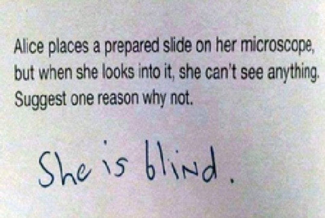 can’t mark him wrong | Scrolller