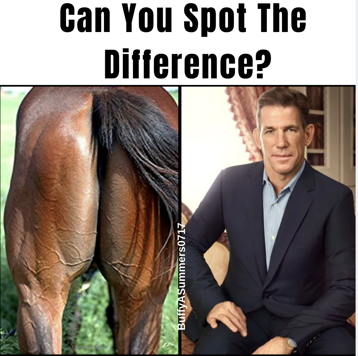 Can You Spot the Difference 🤔 | Scrolller