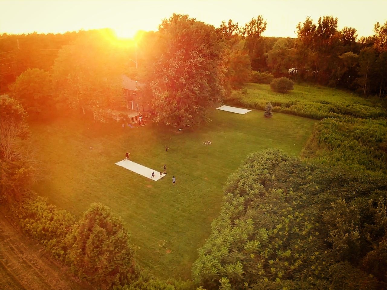 Canadian Bakyard Cricket | Scrolller