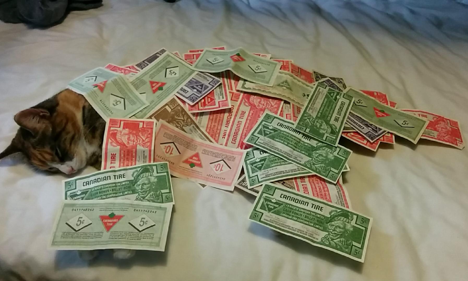 Canadian (tire) pimp | Scrolller