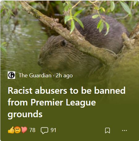 Cant believe the beavers would do this | Scrolller