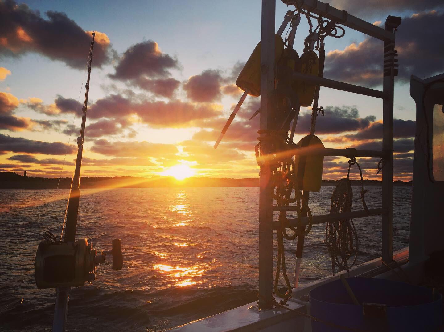 Cape cod | Scrolller