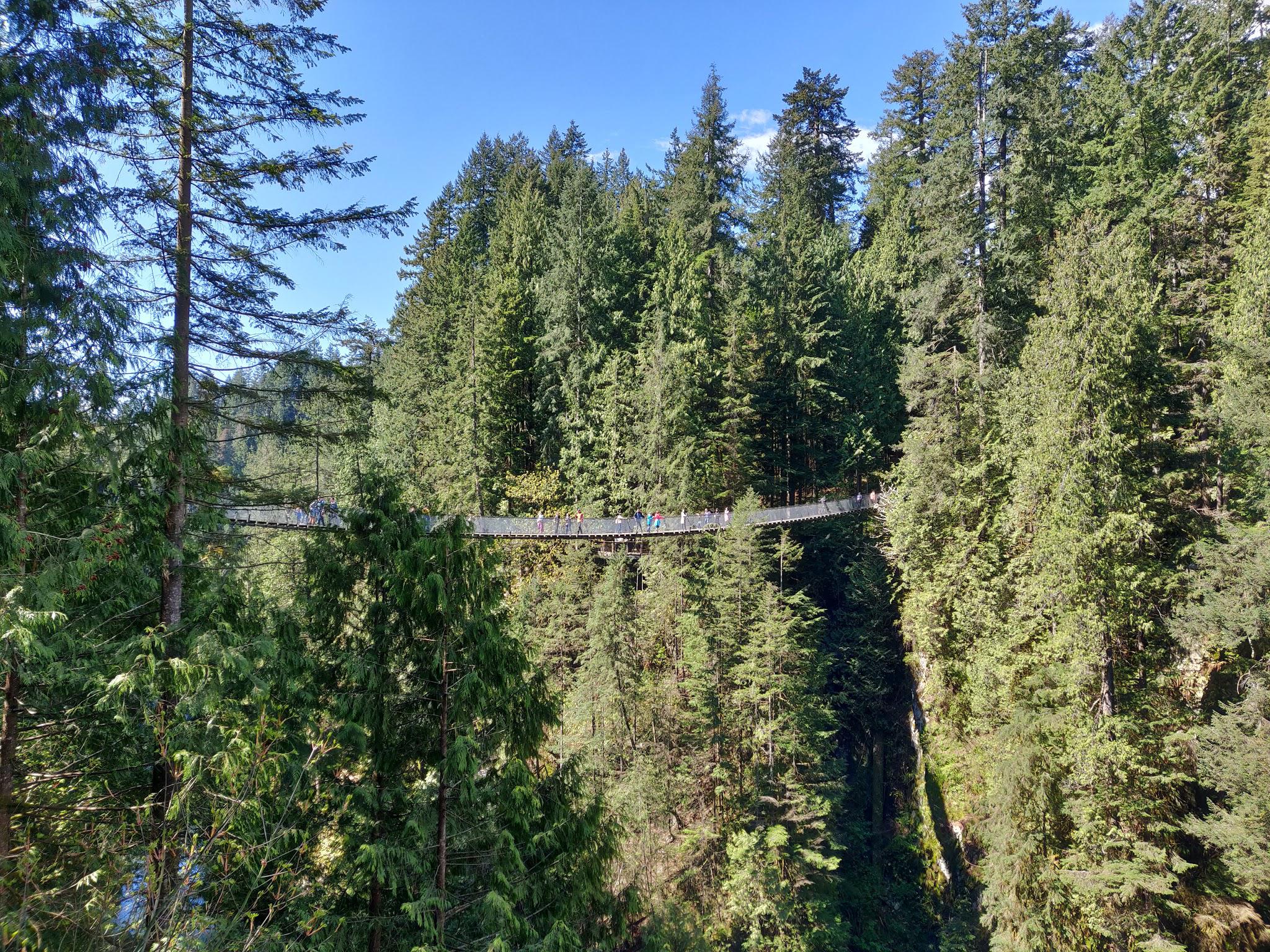 🔥 Capilano Suspension Bridge Park, Vancouver | Scrolller