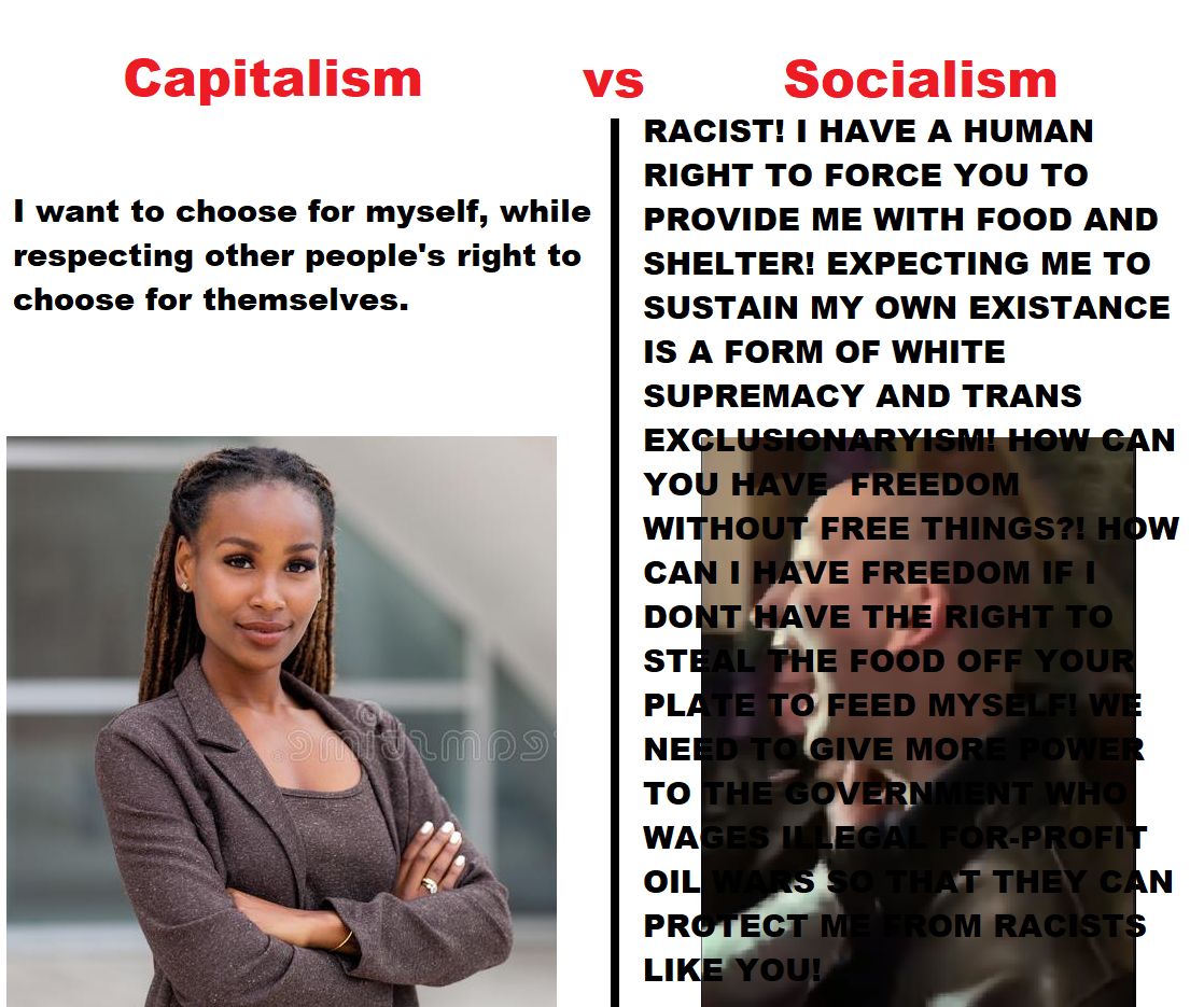 Capitalism vs Socialism | Scrolller
