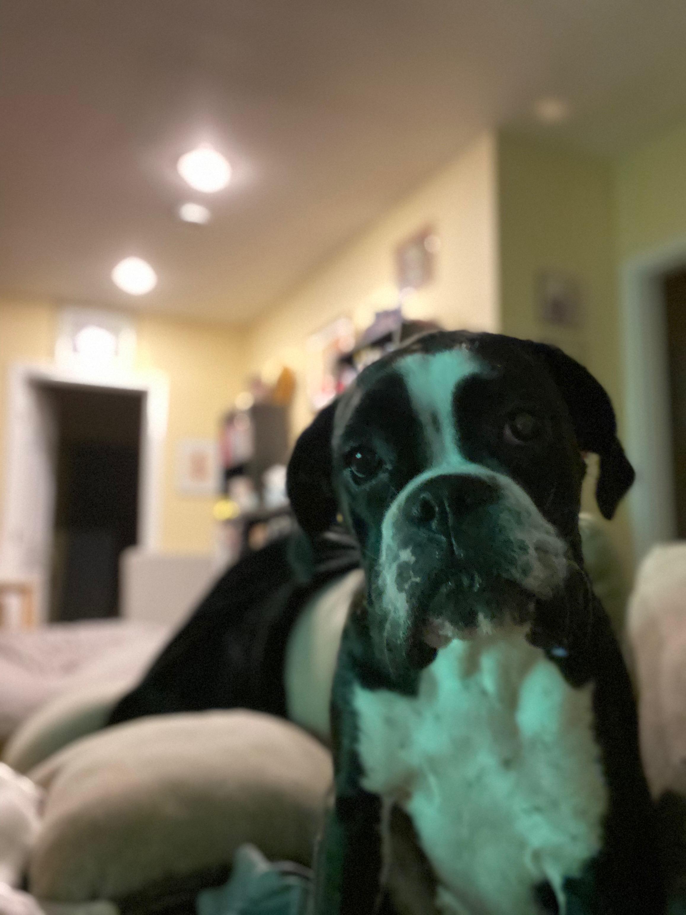 Captain Marvel Looking Adorable Scrolller