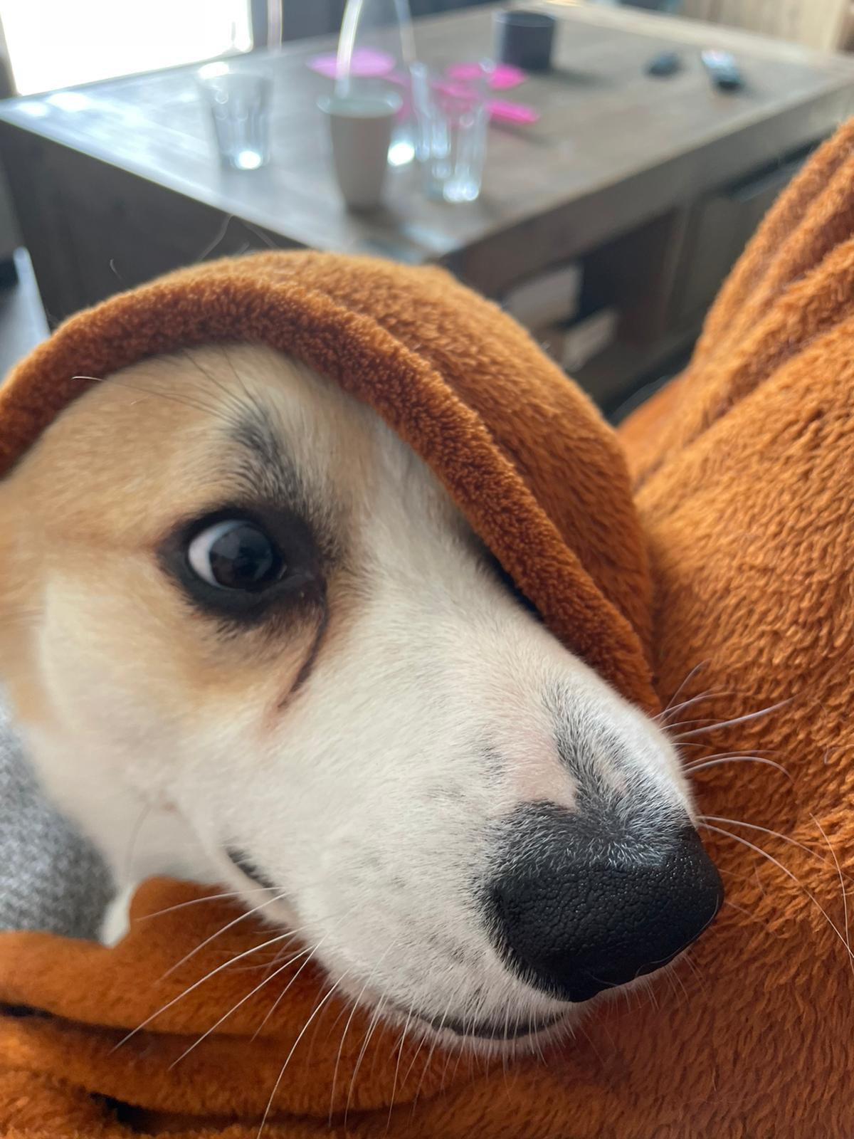 Captain one-eye saw a snack | Scrolller