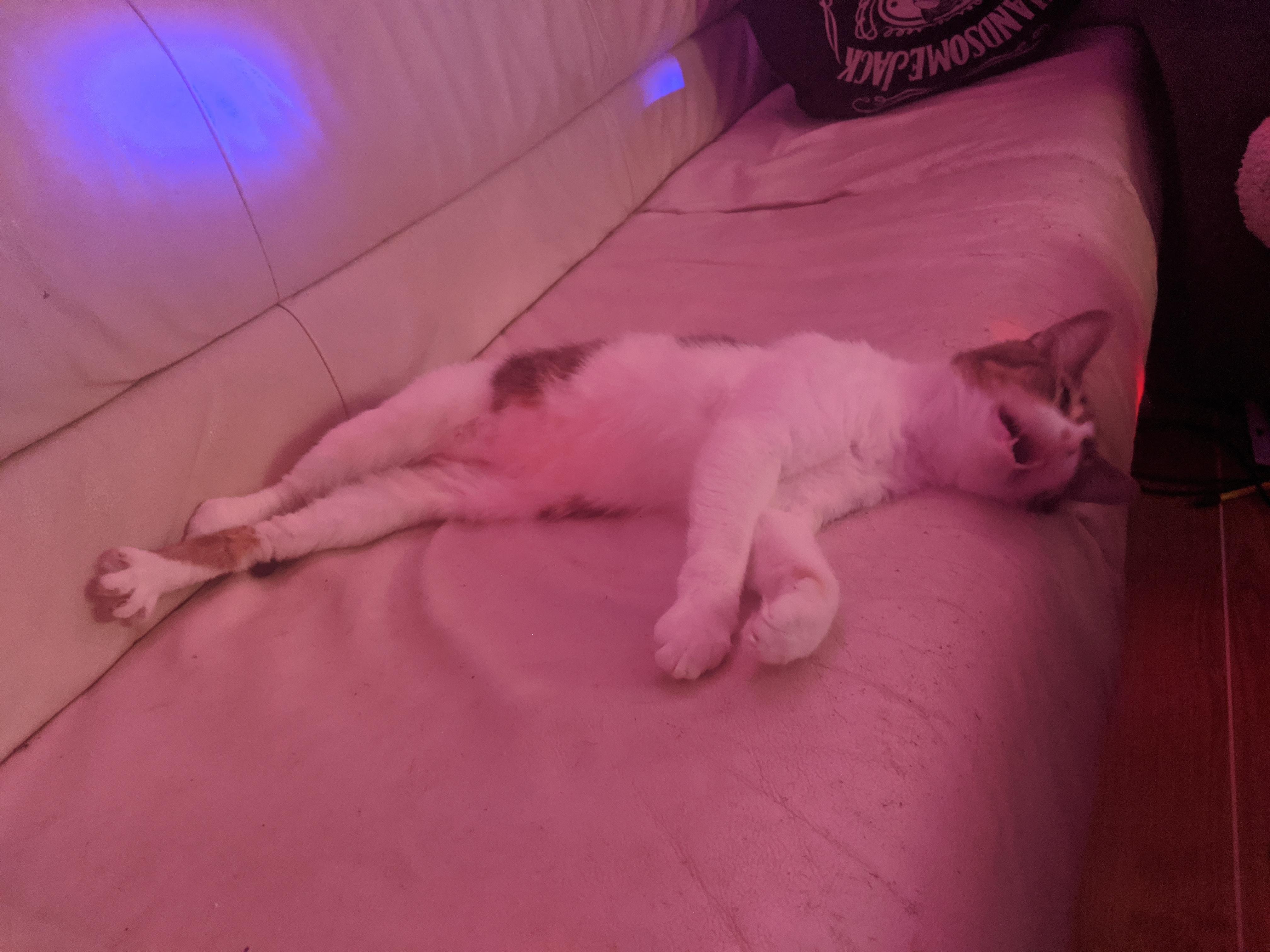 Captured another Milly scrunge | Scrolller