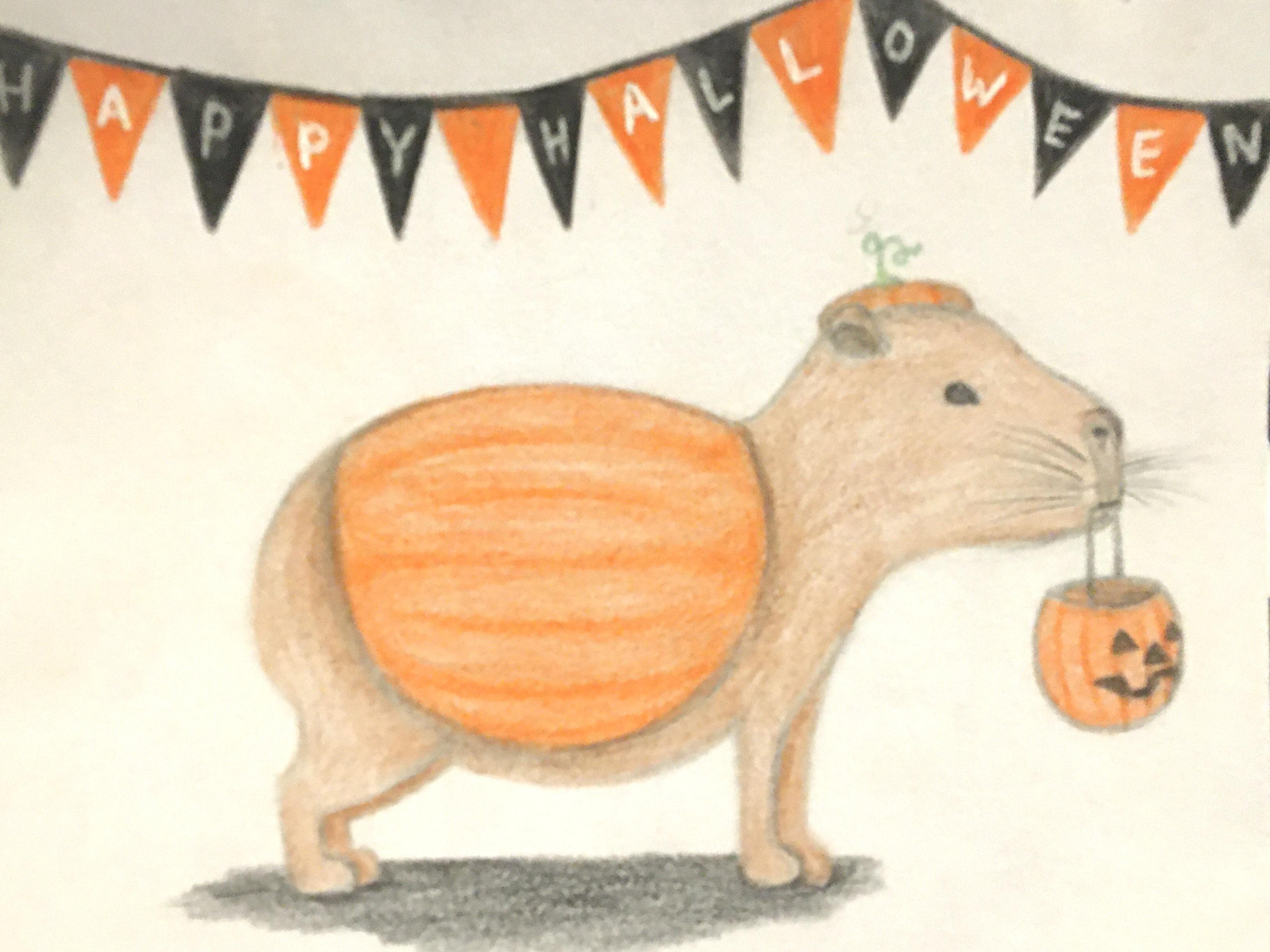 CAPY HALLOWEEN! Here’s a little capybara in a pumpkin costume I drew ...