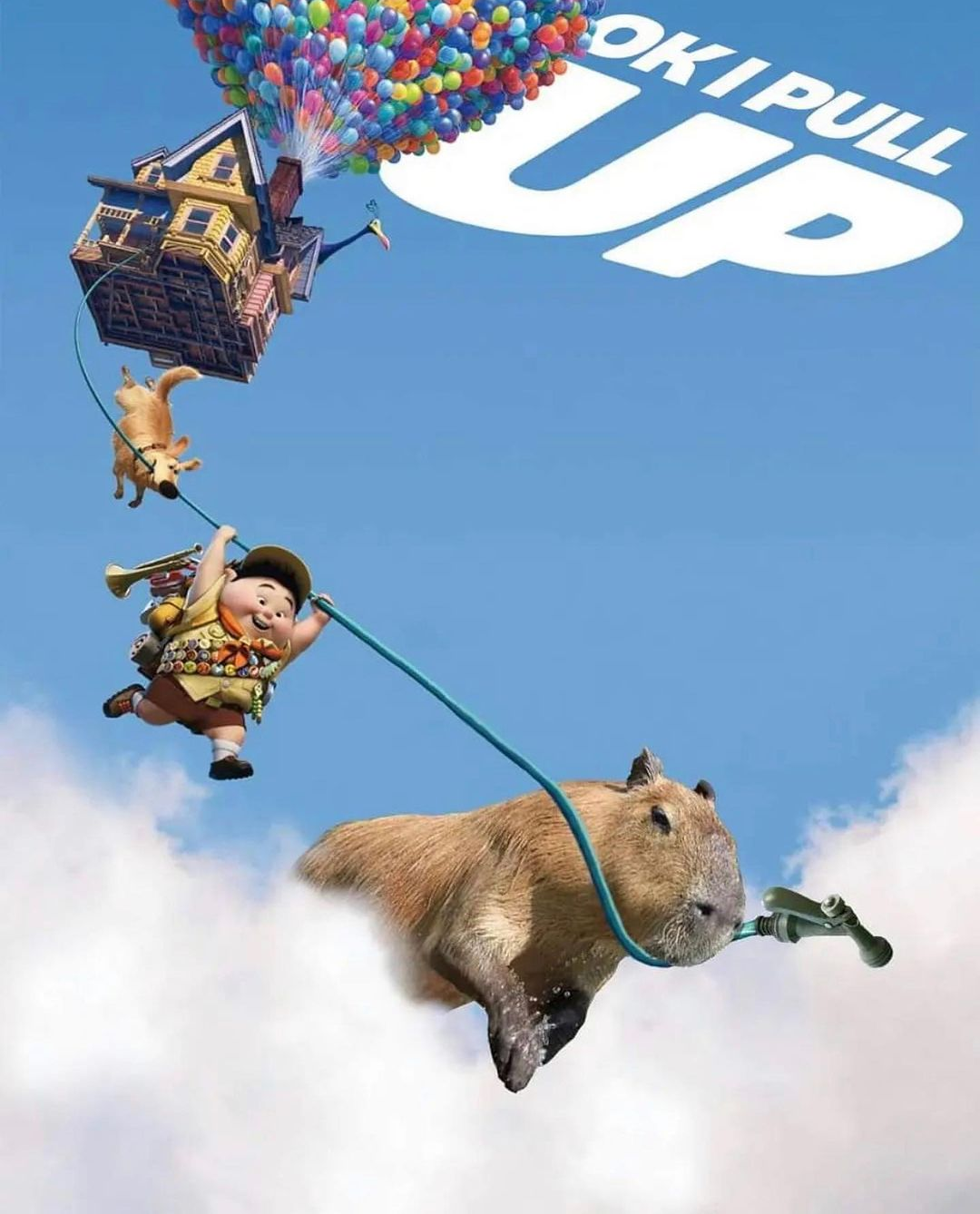 Capybara Rule | Scrolller