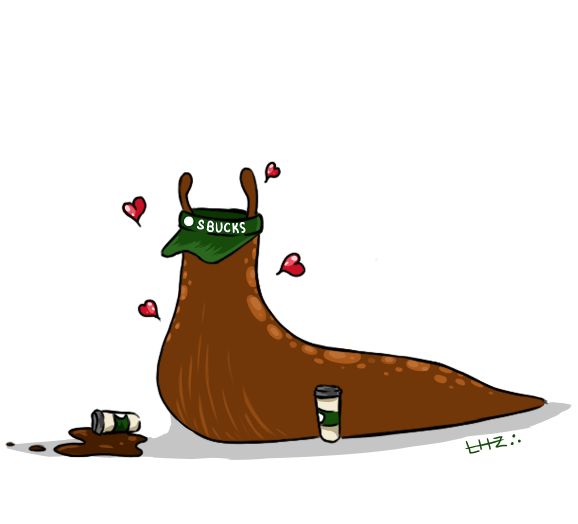 Caramel slug. | Scrolller