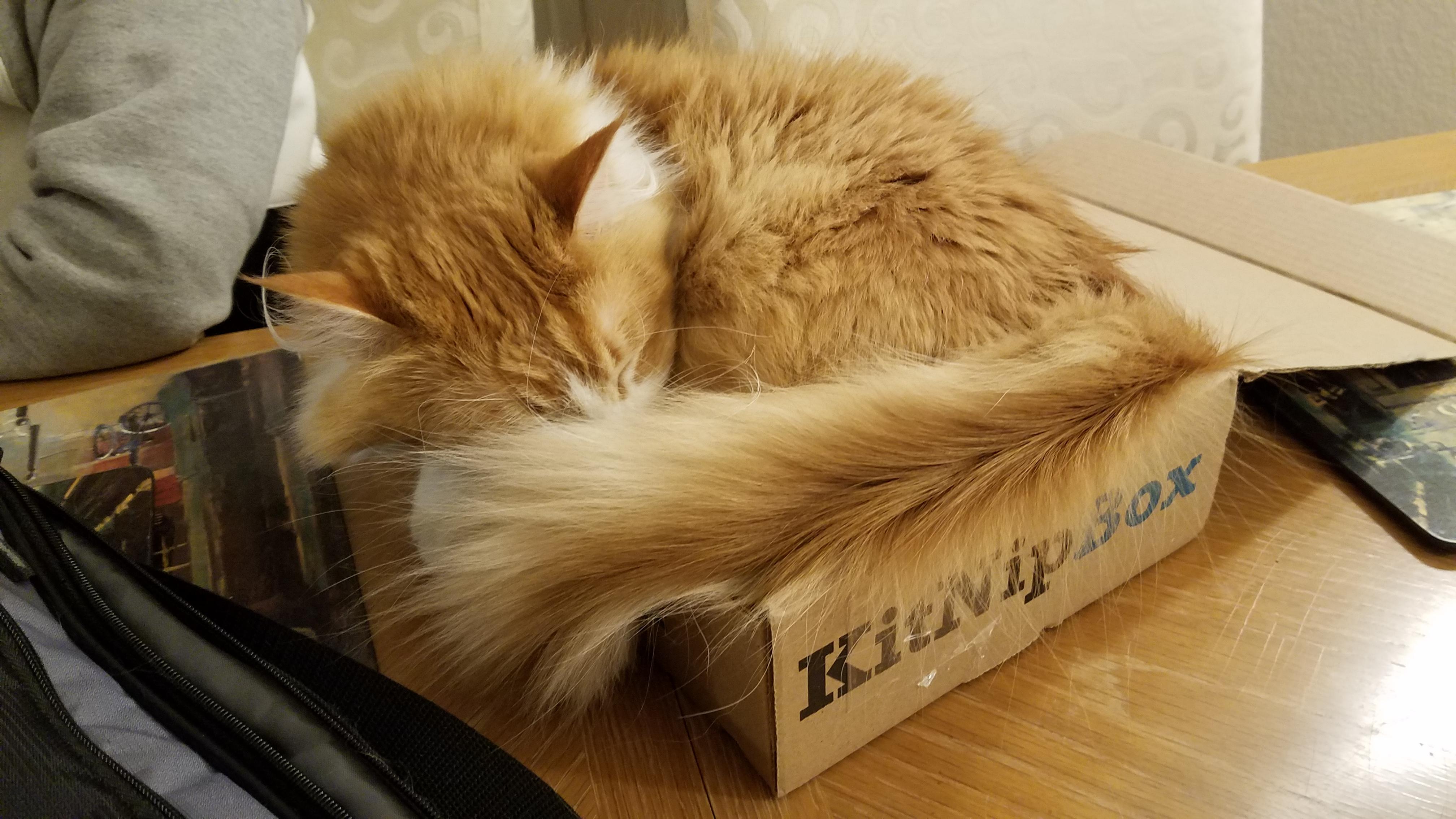 Caraway in a box | Scrolller