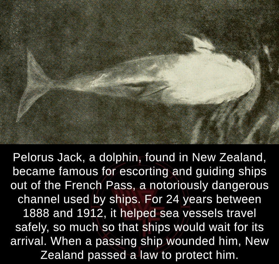 Carry on, Jack | Scrolller