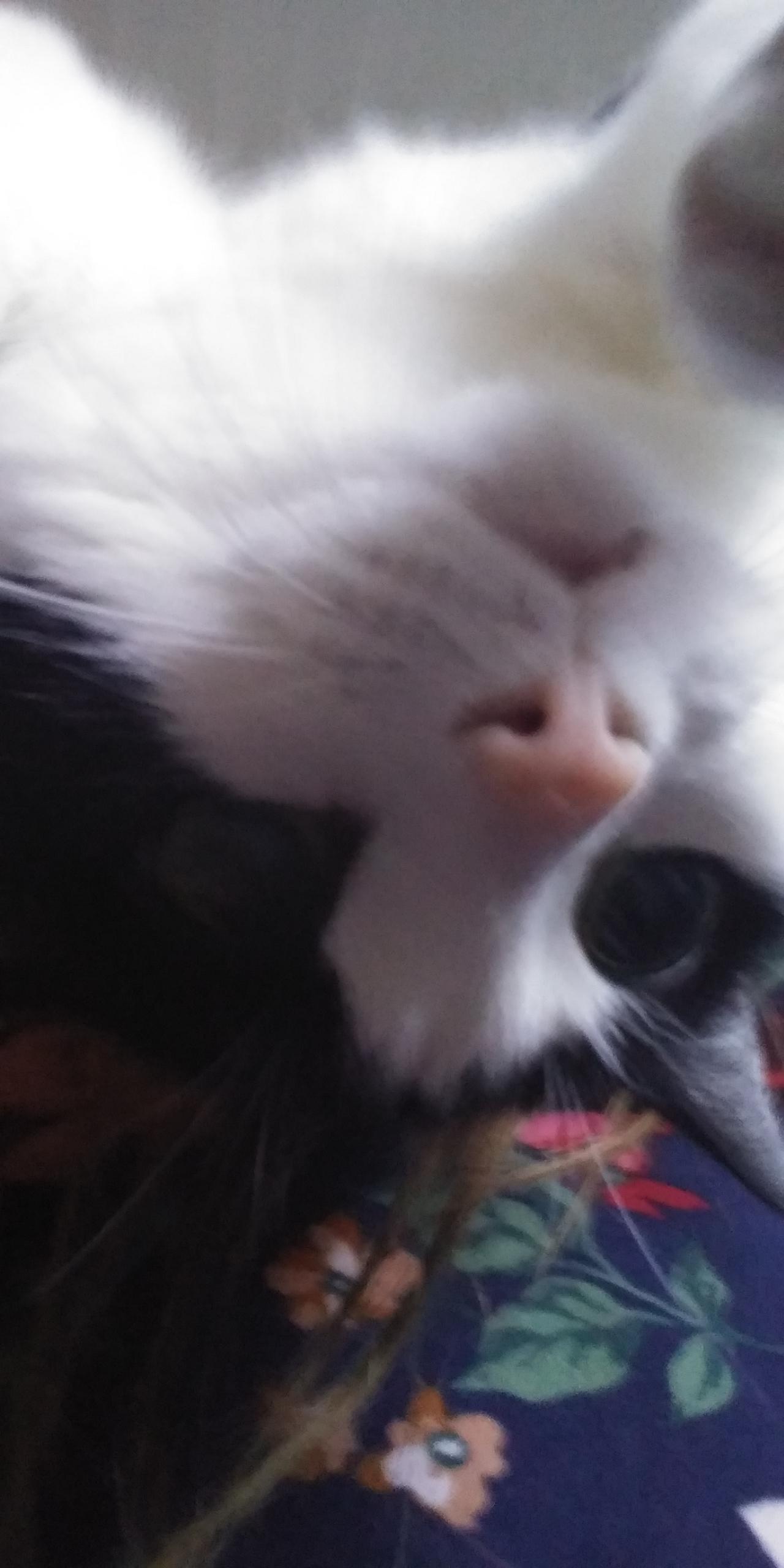 cassie says hi again | Scrolller