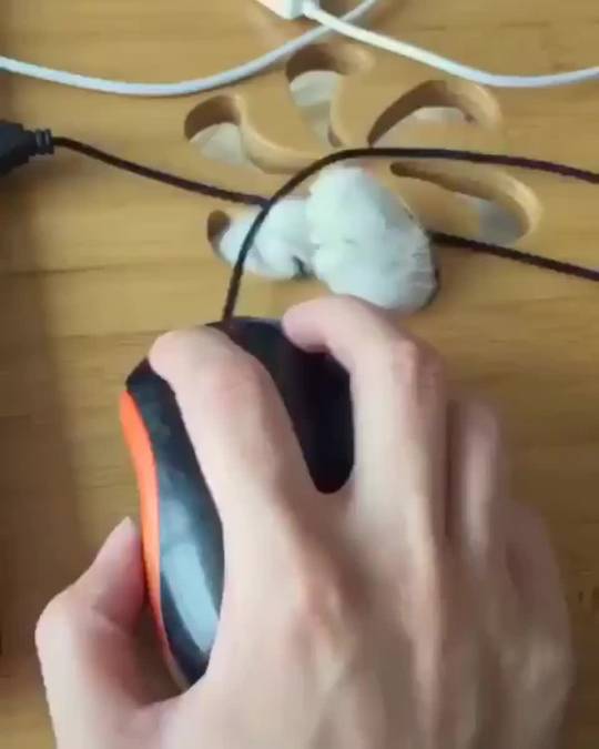 cat and mouse | Scrolller