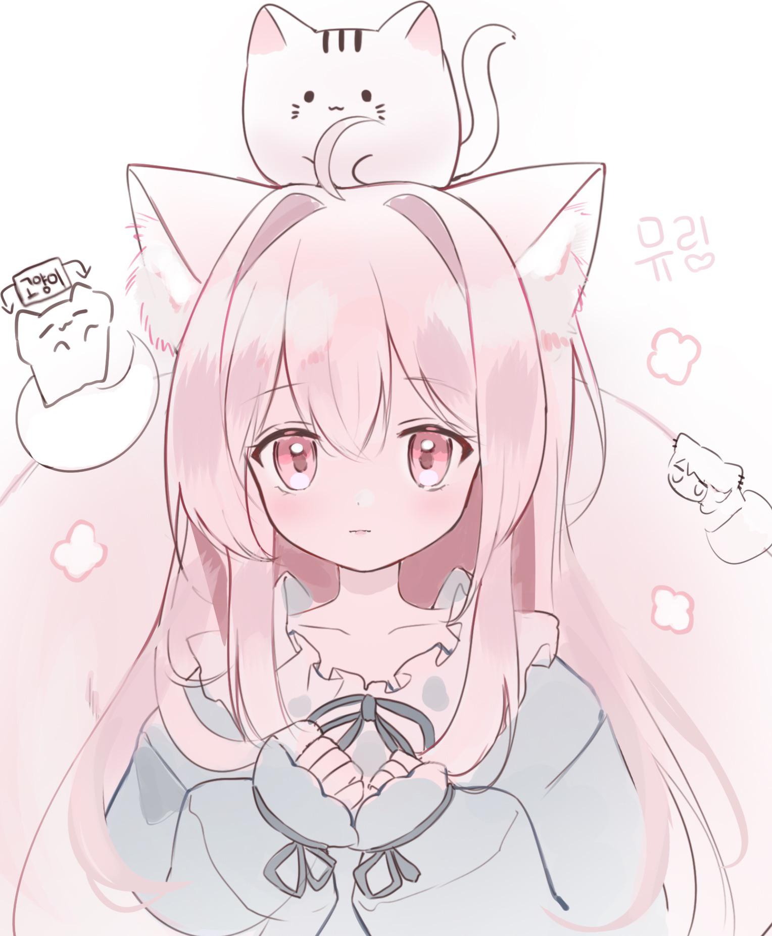 Cat [original] | Scrolller