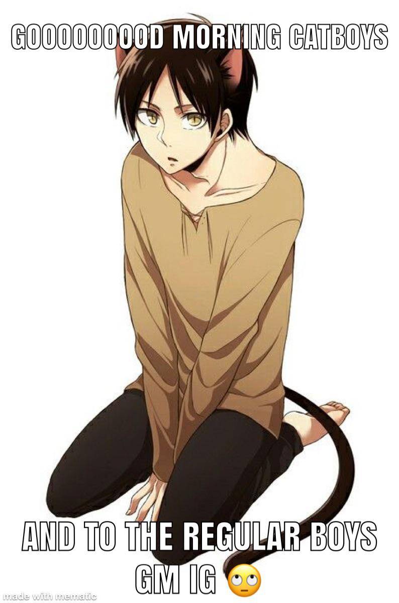 Catboy Eren! | Scrolller