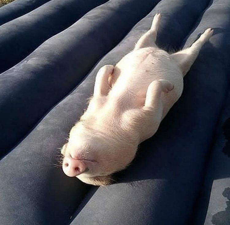 Catch those rays | Scrolller