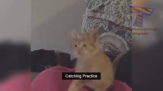 Catching Practice | Scrolller