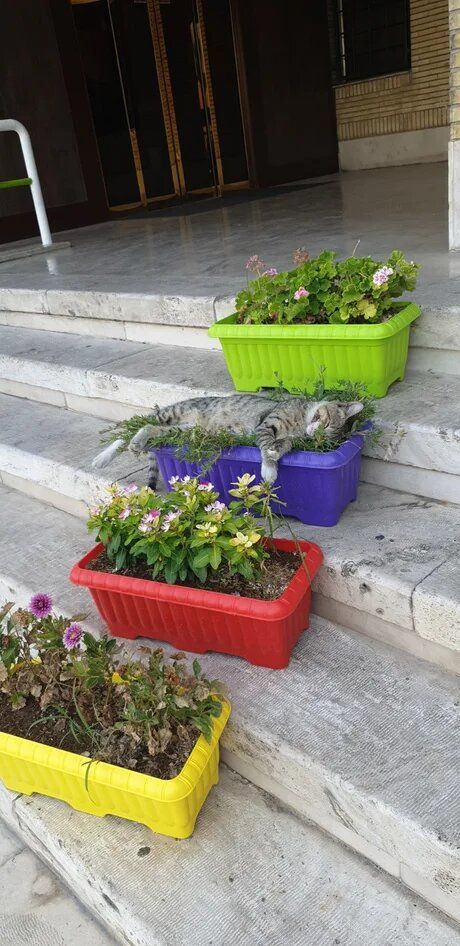 Catching some zzzz's | Scrolller