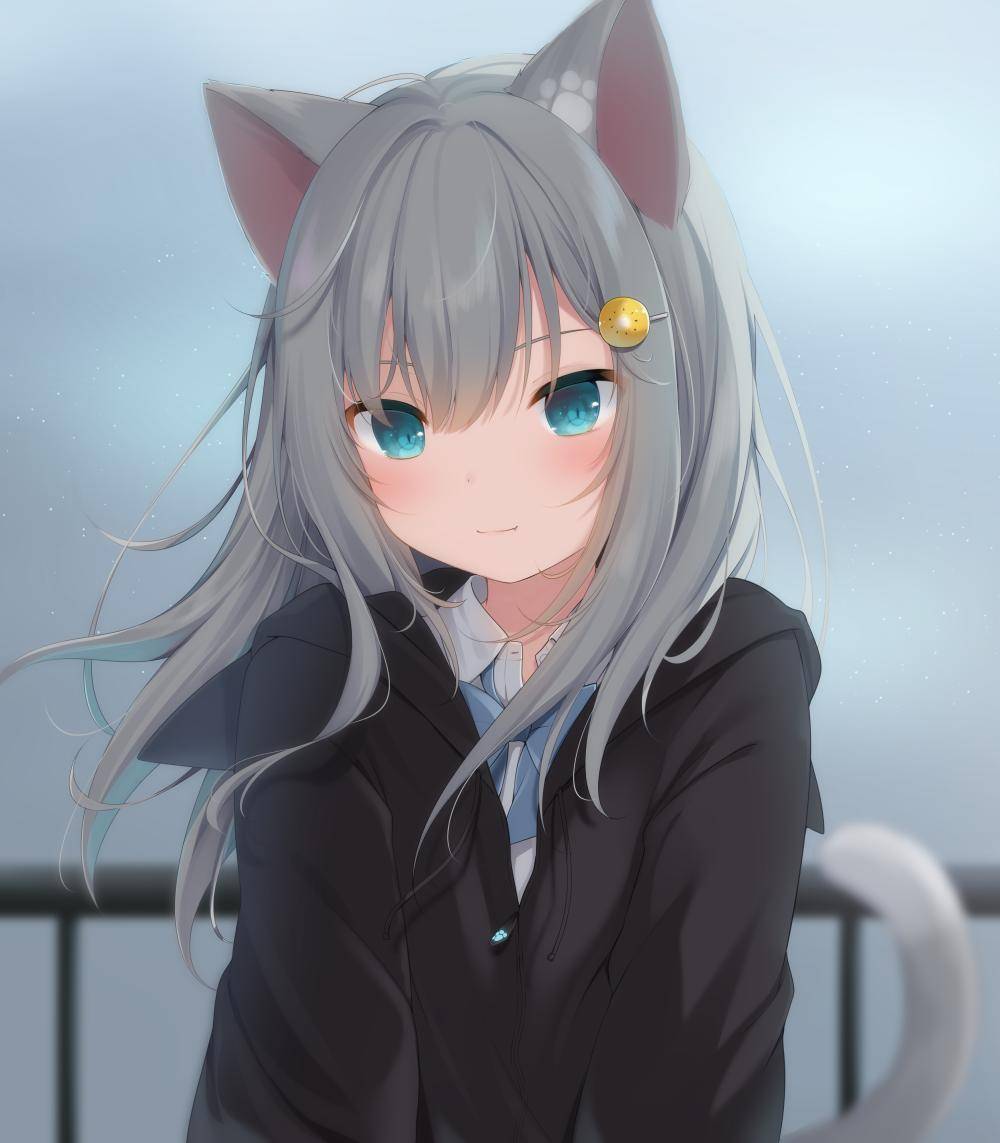 Catgirl [Original] | Scrolller