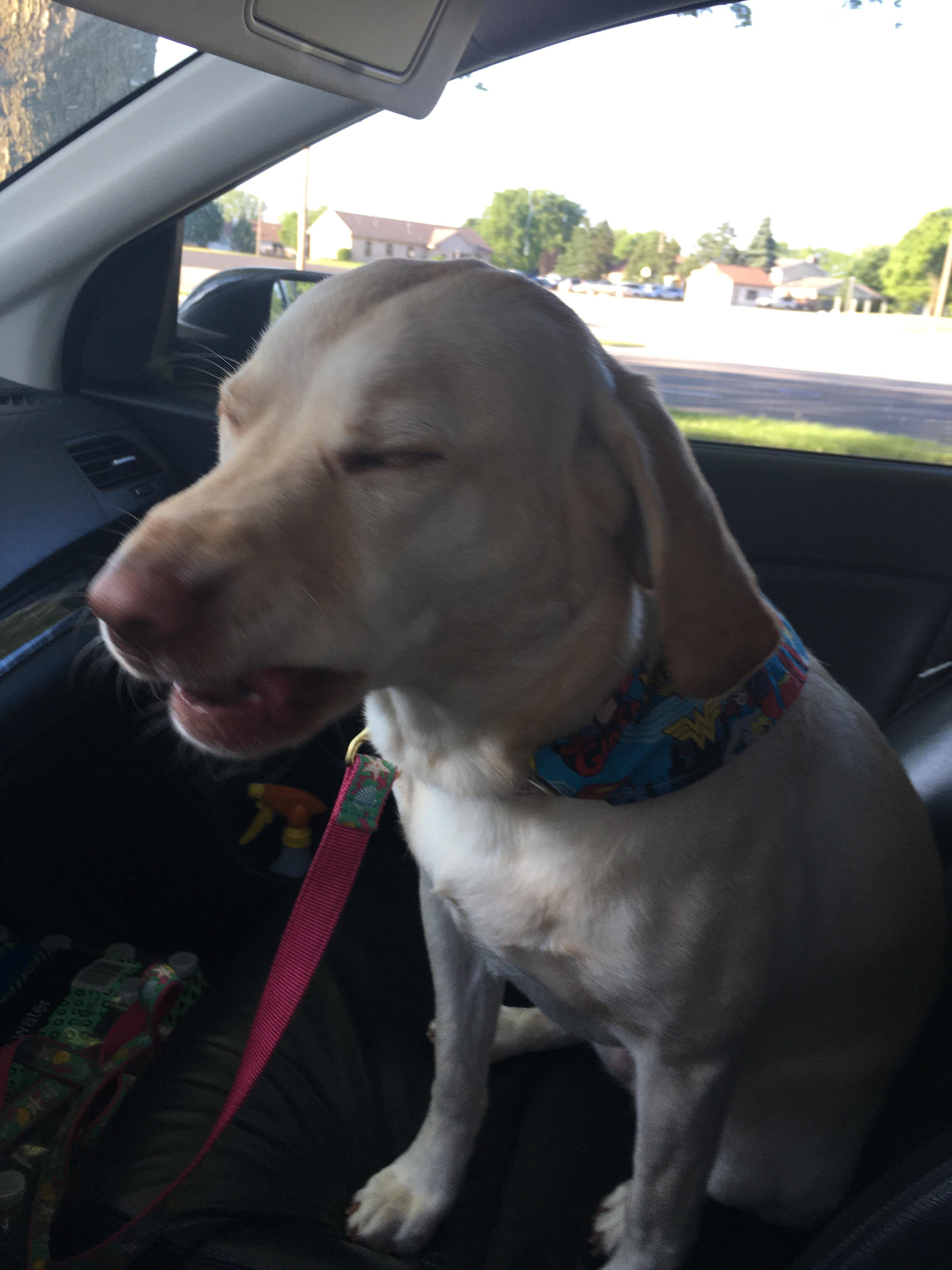 Caught her mid sneeze | Scrolller