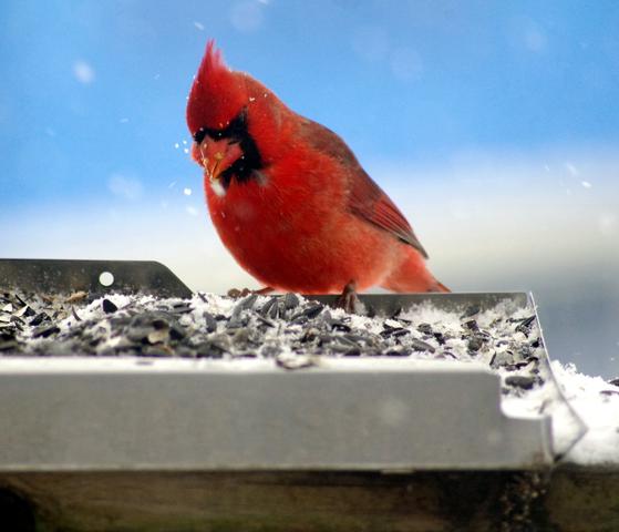 Caught him mid-crunch. | Scrolller