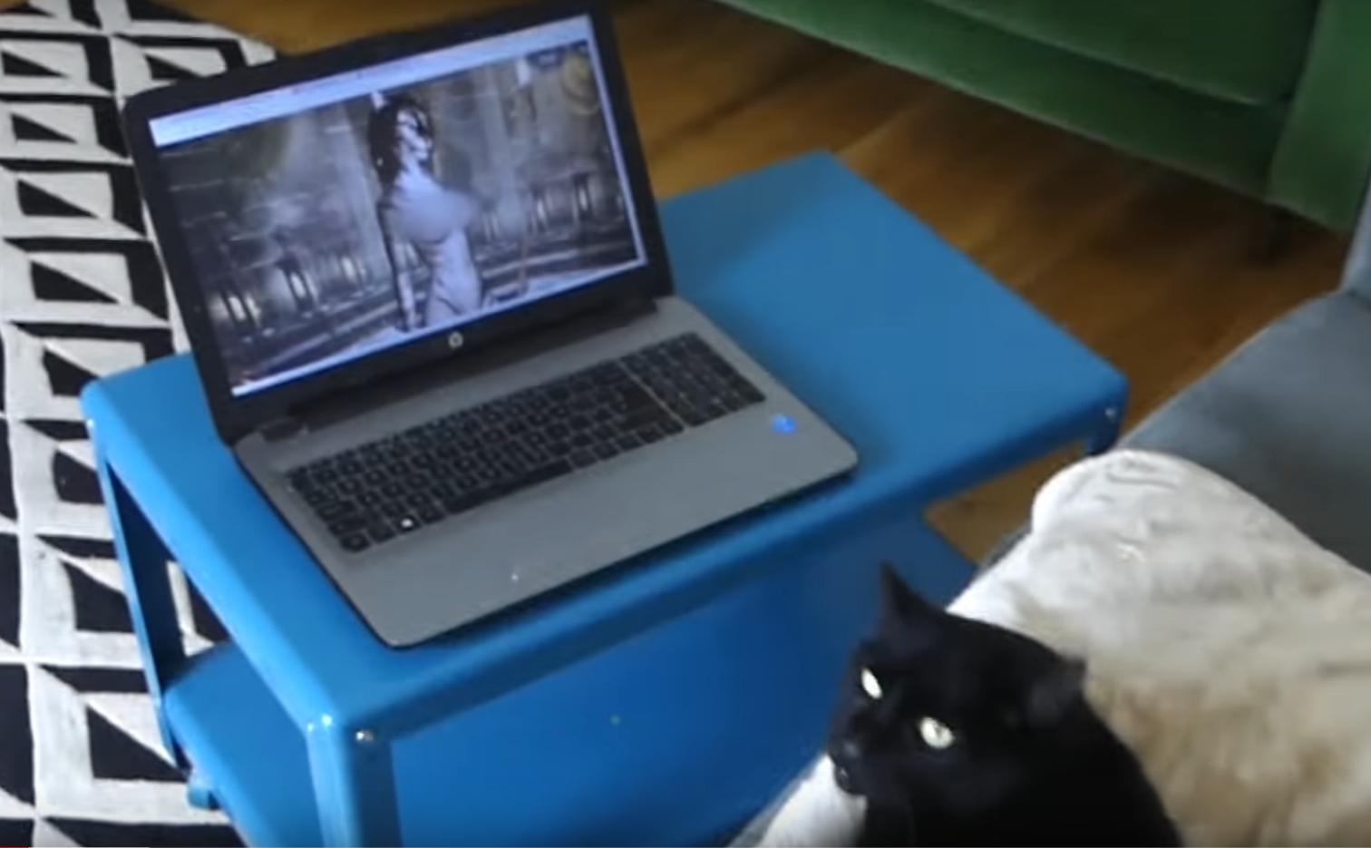 caught_IRL | Scrolller