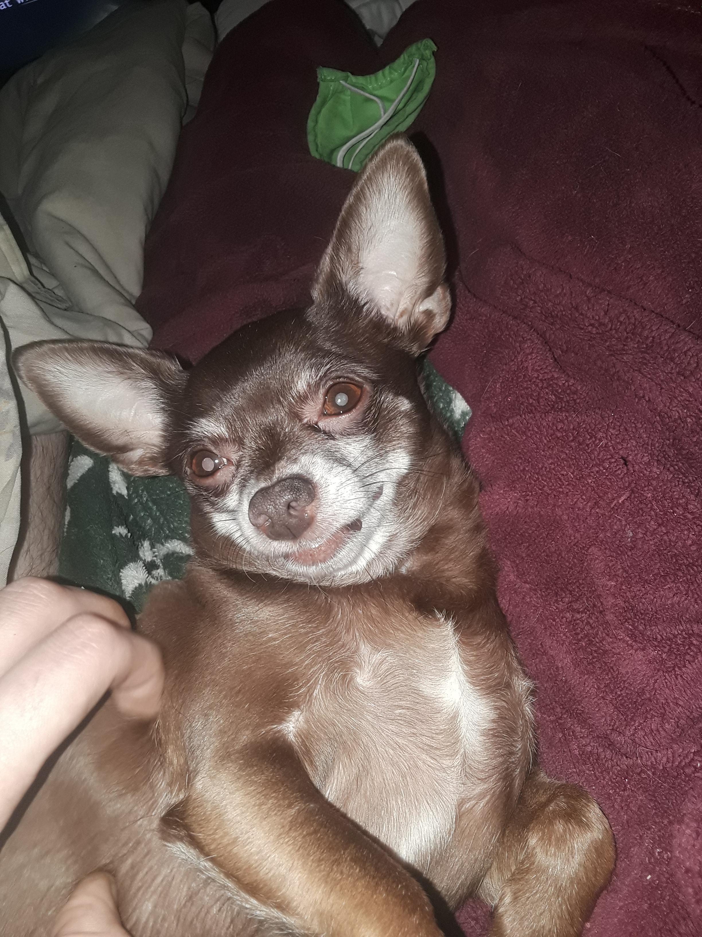 Caught my little girl smiling | Scrolller