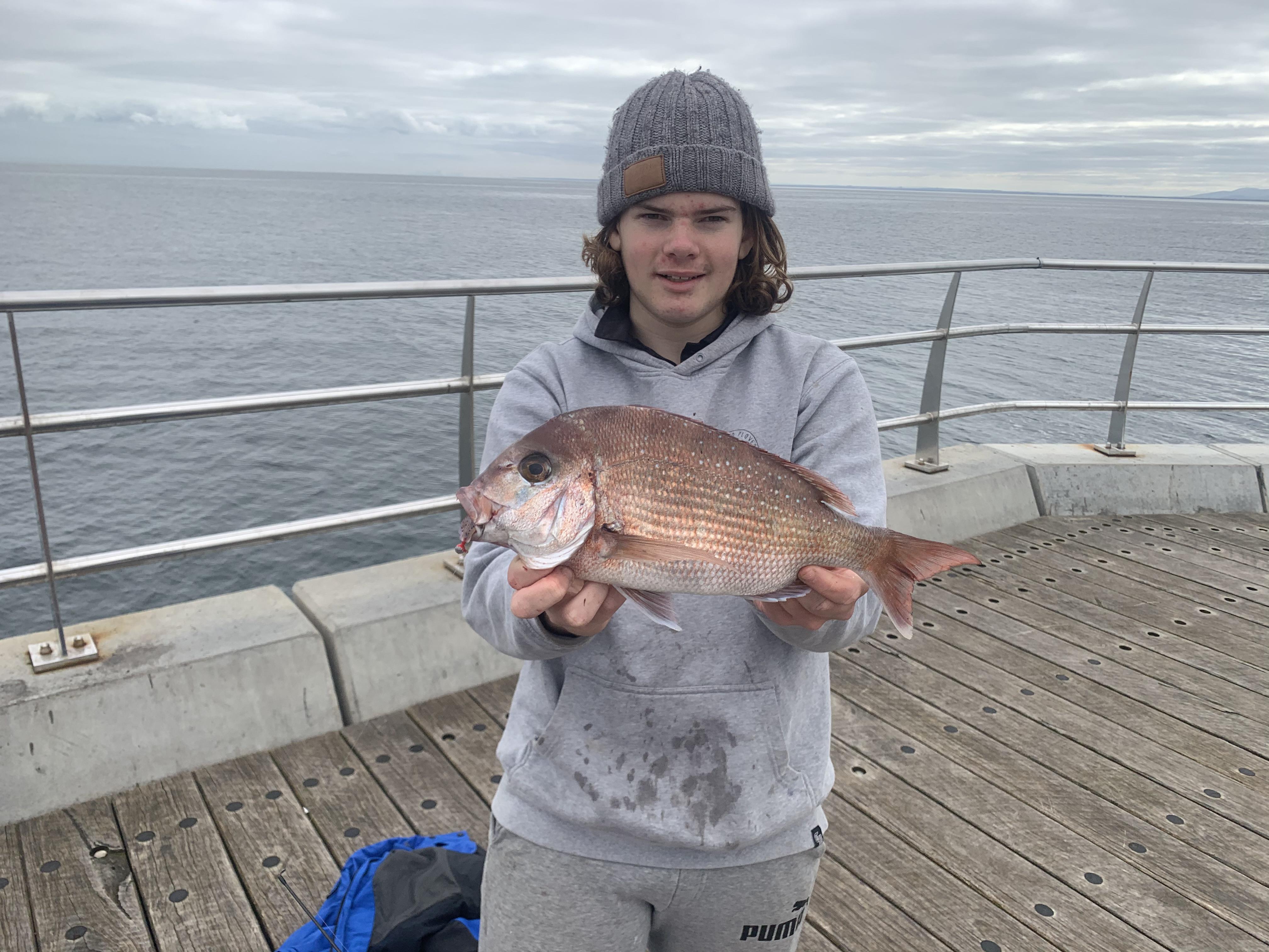 caught this nice little snapper down at the local pier this morning. | Scrolller