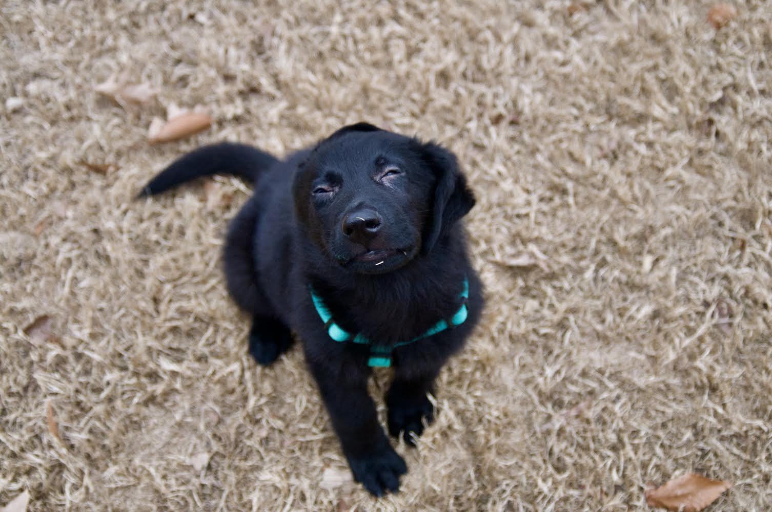 Caught this pic mid head shake | Scrolller