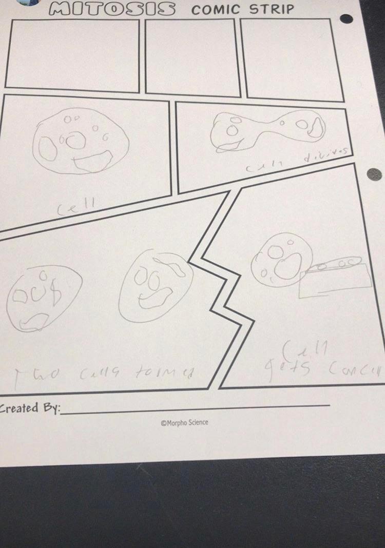 Cell loss | Scrolller